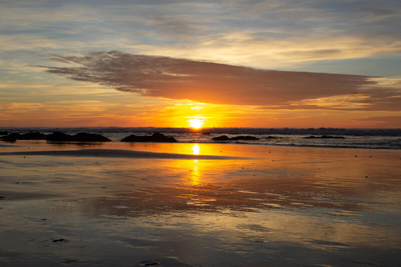 Sunset Provisions | All About Sunsets | Lemonjuice Solutions